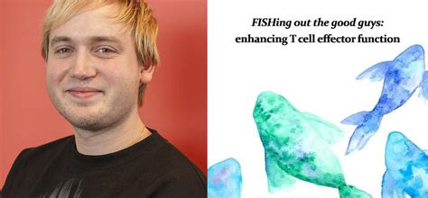 Fishing Out The Good Guys Enhancing T Cell Effector Function Sanquin