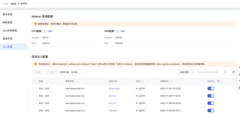 注入配置 服务网格csm 百度智能云文档