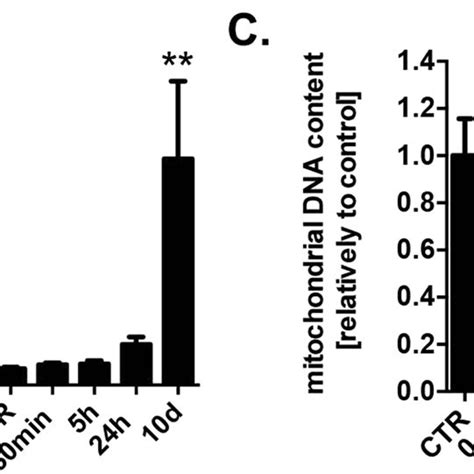 Damaged Mitochondrial Dna Activates Zbp1tbk1irf3 Signaling Pathway