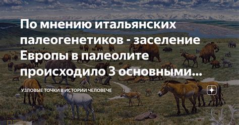 По мнению итальянских палеогенетиков - заселение Европы в палеолите ...