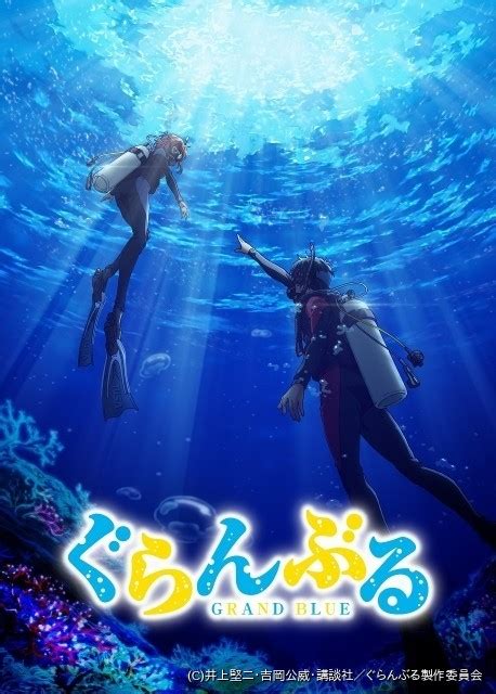 スキューバダイビング漫画「ぐらんぶる」tvアニメ化決定 「バカテス」の井上堅二氏原作 ニュース アニメハック