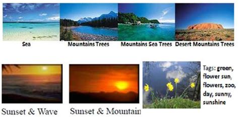 Figure 1 From Multi Label Batch Mode Active Learning Via High Order Label Correlation Miss