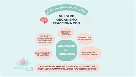 ¿cómo Nos Afecta El Estrés