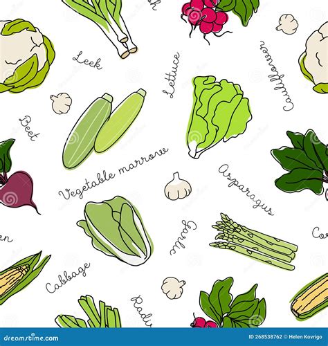 Colección De Diferentes Tipos De Verduras En Línea Estilo De Dibujo Ilustración del Vector