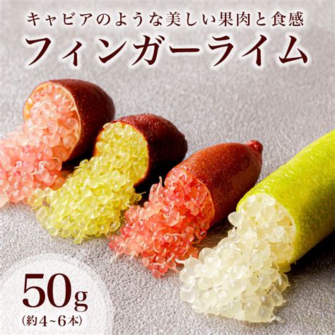 可児市ふるさと納税 2024 Mogurafarm 国産フィンガーライム果実販売