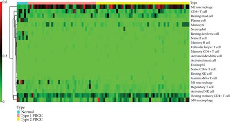 Profiles Of Infiltrating Immune Cells In Normal And Prcc Tissues A