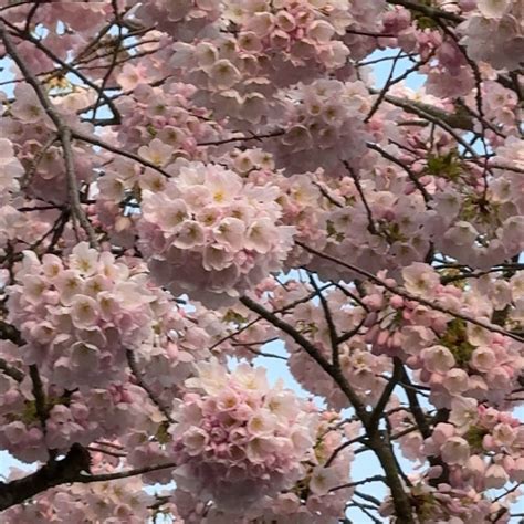 Tiny Compass Youtube