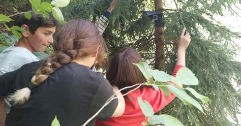 „პროექტი ჩემს გაკვეთილზე“ ჩემი სოფელი რიცხვებში ფოტოები