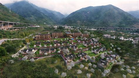 市委书记兰开驰率队调研梨乡山居项目 雅安文旅开发建设有限公司 雅安文旅