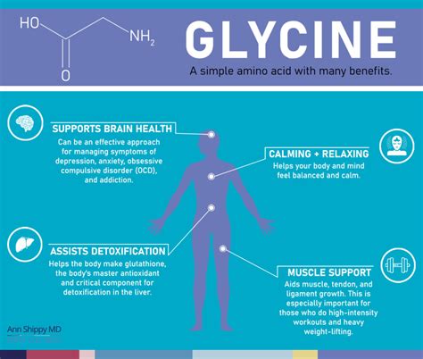 Glycine - The Versatile Amino Acid - Ann Shippy MD