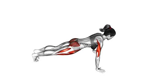 Spider Plank Ultimate Video Guide And Tips For Men