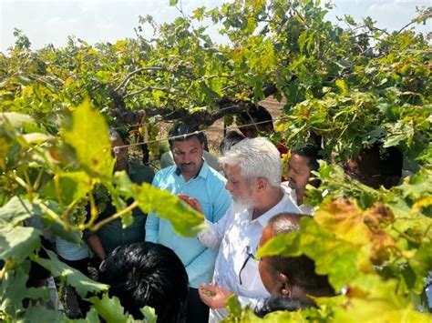Nashik Dada Bhuse Directs Prompt Completion Of Crop Assessment Work