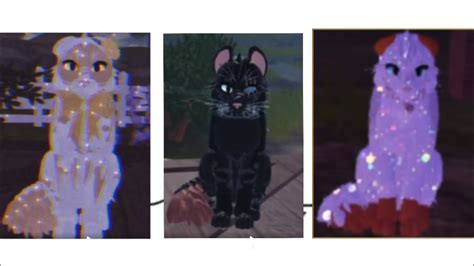 Warrior Cats Morph Ideas Feel Free To Pause Youtube