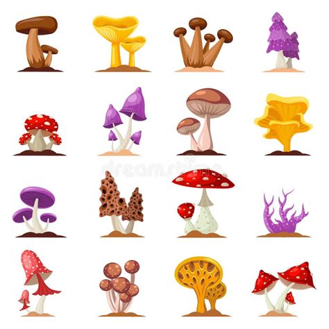 Colorful Forest Wild Collection Of Assorted Edible Mushrooms And