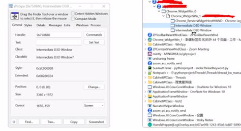 Webview2 Display Issue When Computer Wakes From Sleep · Issue 3429