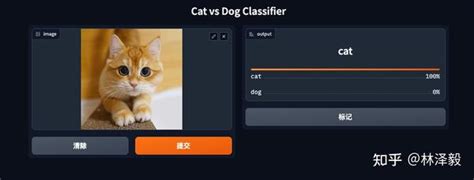 pytorch猫狗分类：从swanlab可视化训练到gradio demo网站 知乎