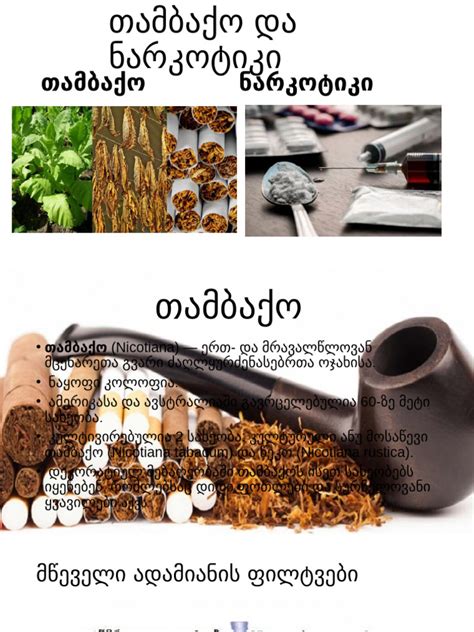 თამბაქო და ნარკოტიკი Pdf