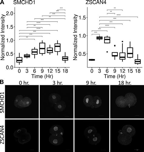 Fluoview Fv10 Asw Software Version 4 2 Olympus Bioz