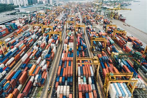 understanding the meaning of every export declaration status