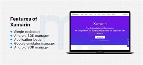 Top 7 Mobile App Development Frameworks A Go To Guide