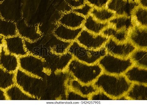 Predator Pattern Handdrawn Artistic Swimwear Template Stock