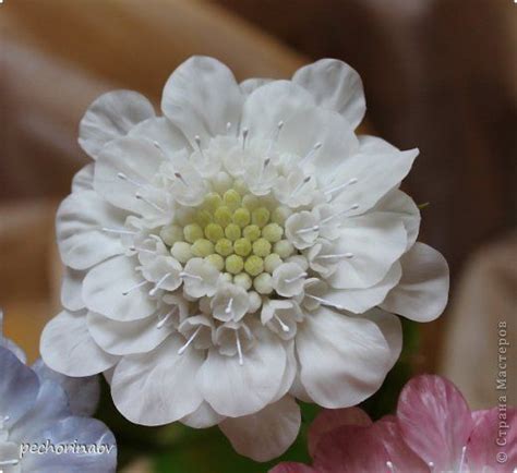 скабиоза http://stranamasterov.ru/node/752933 | Clay flowers, Cold ...