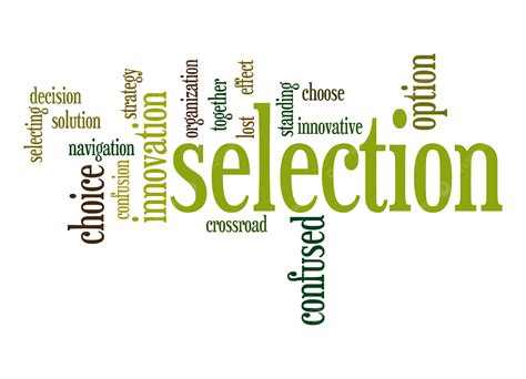 Selection Word Cloud Tagcloud Solution Decision Innovation PNG