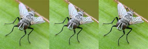 Camera Bracketing Explained At Karin Wright Blog