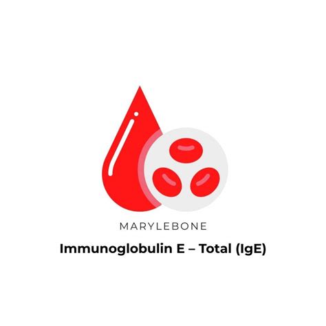 Immunoglobulin E Ige Blood Test Allergy And Immune Assessment