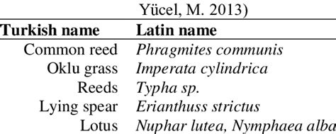Hydrophyte Plant Species That Grow Near Gölbaşı Lake And Form Download Scientific Diagram
