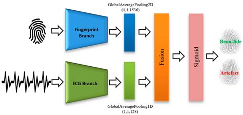End To End Deep Learning Fusion Of Fingerprint And Electrocardiogram Signals For Presentation