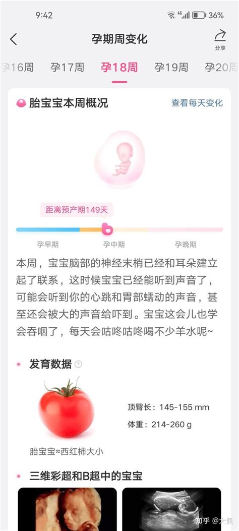 孕期日记 知乎