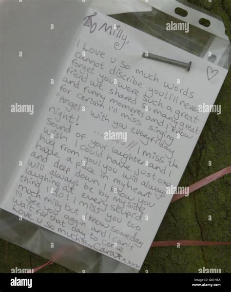 Ricerca Di Amanda Dowler Immagini E Fotografie Stock Ad Alta