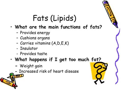 Functions Of Lipids Homebabe Science Heart Disease Weight Gain Fat Energy Cardiology