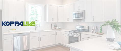 Koppalive 5 Pack Solid Brass Kitchen Cabinet Knobs Modern Gold Drawer Knobs For Dresser Round