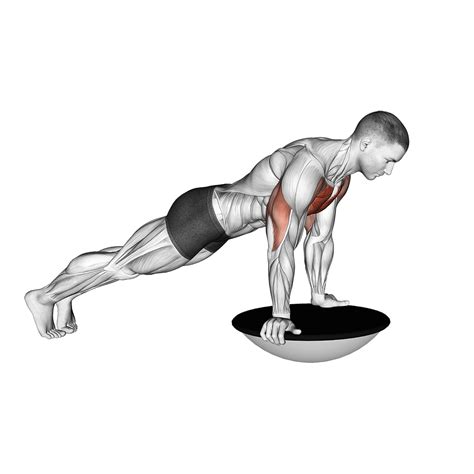 Do Push Ups Work Forearms Yes And No Inspire Us