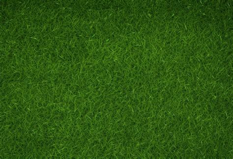 Green Grass Background Texture Natural Outdoor Lawn Image Premium Ai