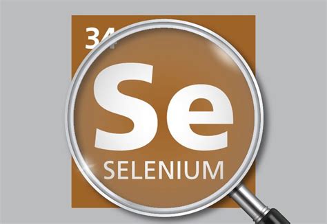 Selenium And Immunity In Livestock