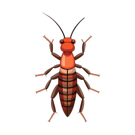 Cute Earwig Character For Educational Use Illustration 58981213 Vector