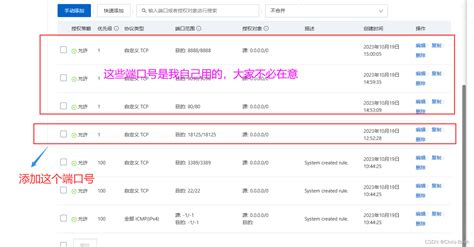 如何用云服务器搭建网站、多个站点（不使用域名仅用公网ip） 保姆级教学有公网ip怎么搭建服务器 Csdn博客