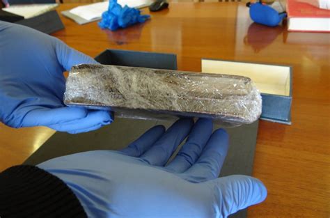 Un Mystérieux Bienfaiteur Rend Les Carnets Manquants De Charles Darwin