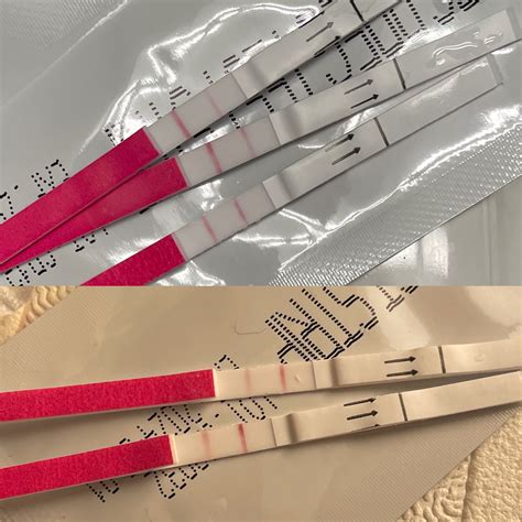 F F B E B EFE Hosted At ImgBB ImgBB