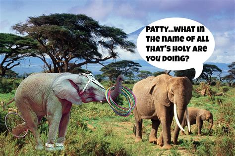 Circus Elephants Doing Tricks