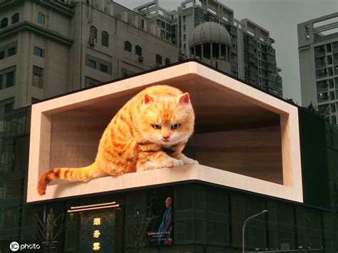华中最大裸眼3d橘猫落地湖北武汉 搜狐大视野 搜狐新闻