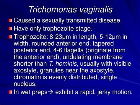 MEDICAL PARASITOLOGY ENTOMOLOGY Ppt Download