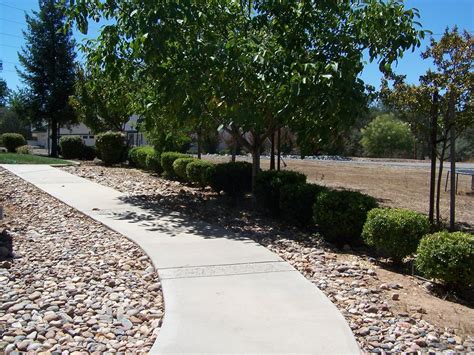 Beautiful Sidewalk And Rock Accent For Your House