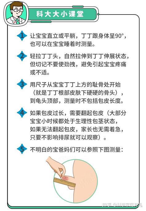 男宝丁丁多大算正常对照0 18岁尺寸表偏小警惕两种情况 知乎