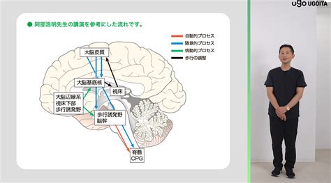 2nd第12クール：脳卒中片麻痺患者の歩行改善のための評価と治療（前編）（全3回） Ugoita Plus（ウゴイタ プラス）