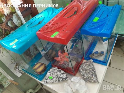 Аквариуми в Оборудване за аквариуми в гр Перник Id45144617 — Bazar Bg