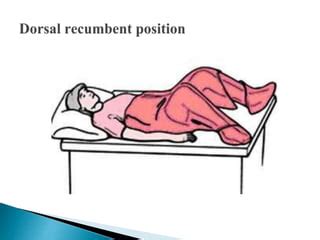 Dorsal Recumbent
